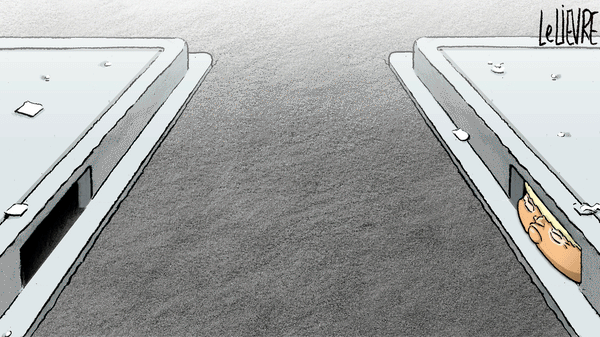 Common ground – Glen Le Lievre